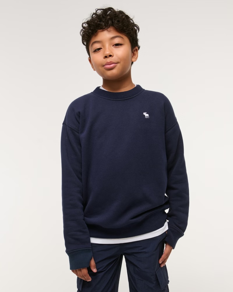 Essential Icon Crew Sweatshirt - Abercrombie & Fitch